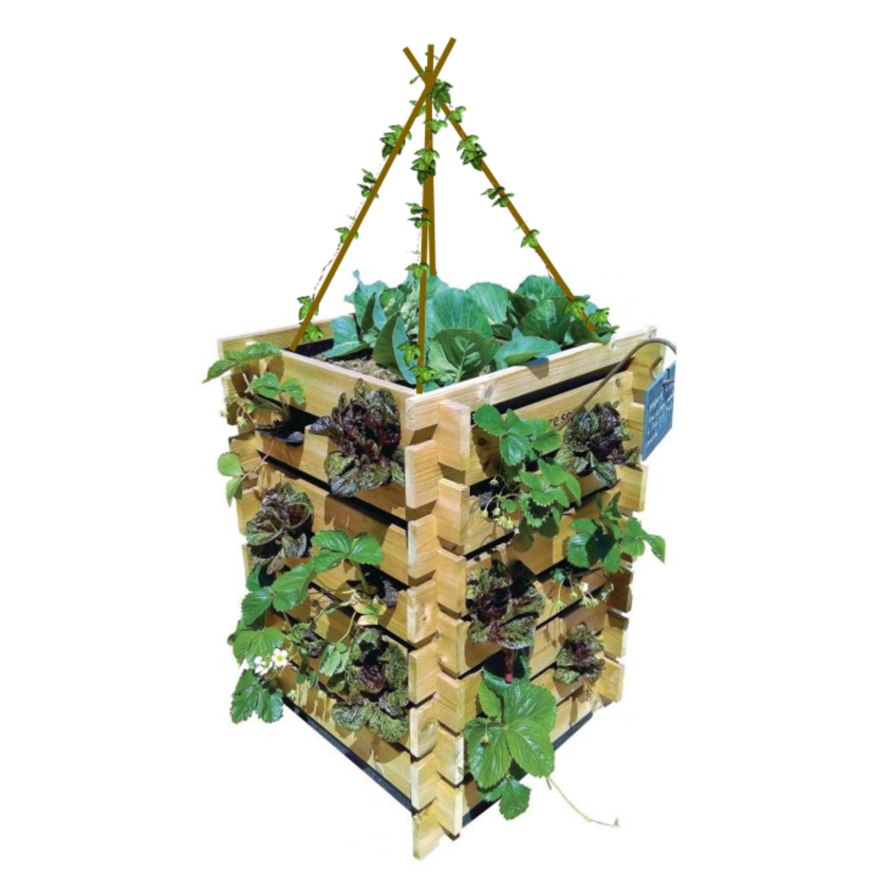 Atelier Verticulture | AMECO France - Ecologie de Demain